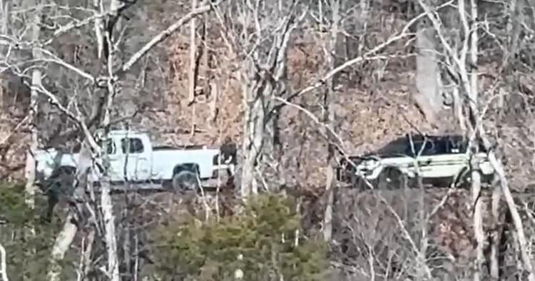 Aggravated animal cruelty | News | newportplaintalk.com