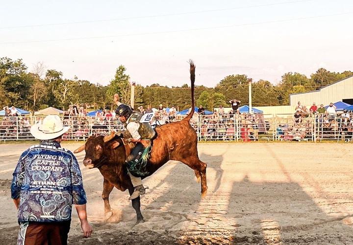 Bull riding brings ‘blast’ of fun, intensity back to Newport | Sports ...
