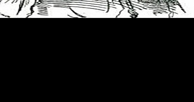 John Murrell: outlaw, country preacher, and one of the "other set of ...