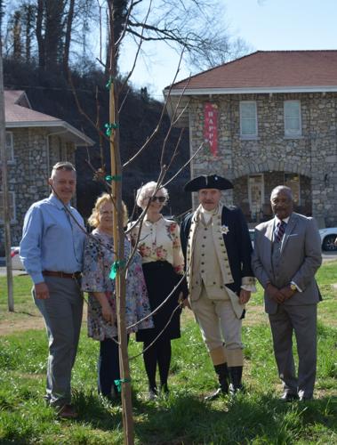 Tree | Community | newportplaintalk.com