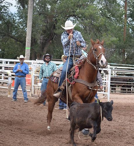 4-H Rodeo Ropers & Riders compete in Bosque Farms | Sports | news ...