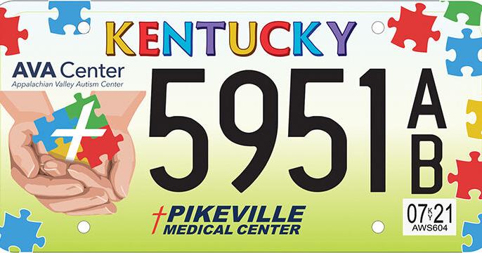 Specialty license plate to support autism services now available in ...