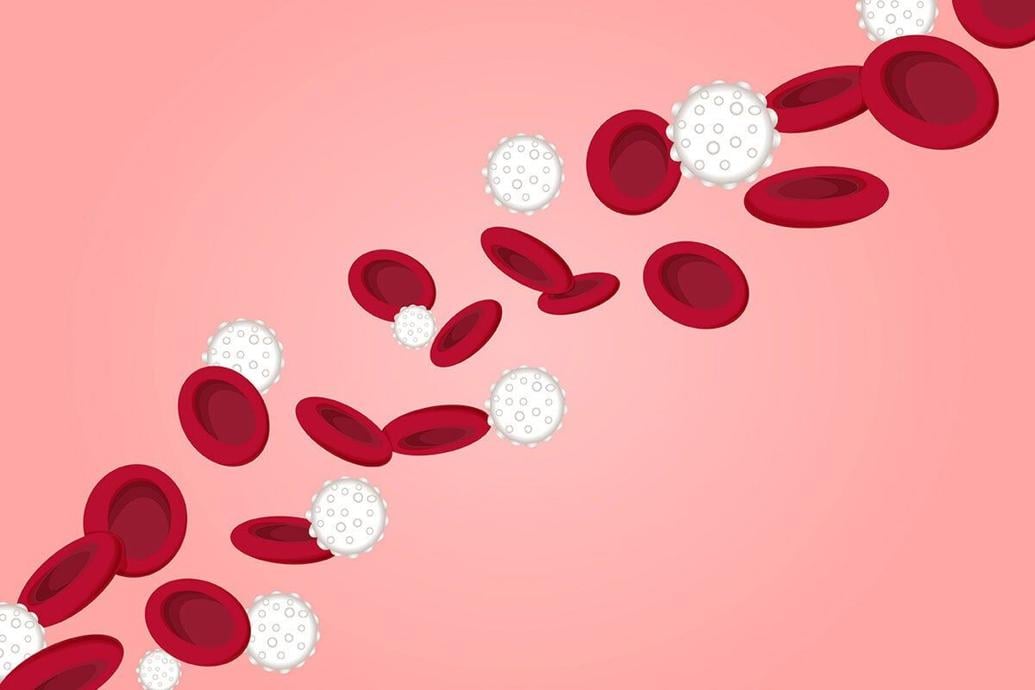 Scientists engineer stem cells to fight aggressive blood cancers ...