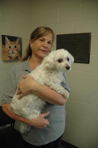 Animal shelter listed among state’s best, study shows | News | news ...