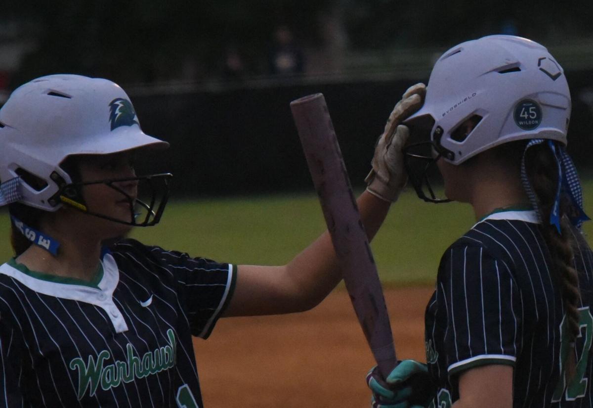 41st District softball championship: Franklin County dethrones five ...