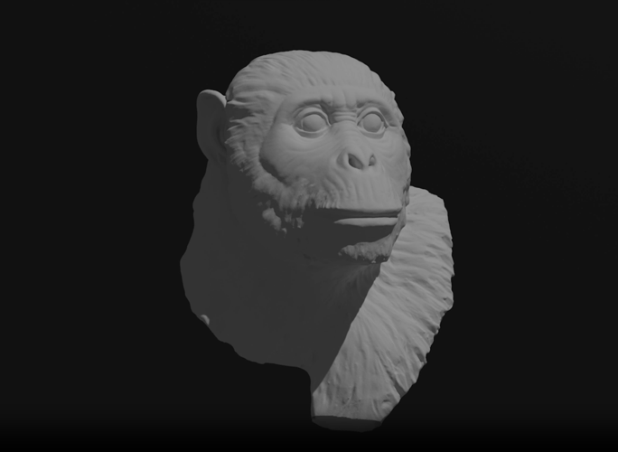 New ape discovery ‘reshaping’ understanding of evolution | National ...