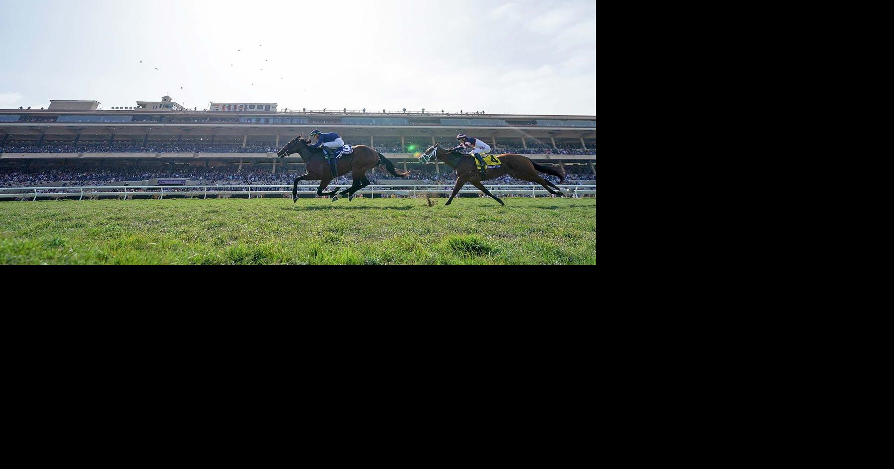 Keeneland’s Fall Meet 2022 open for racing fans | News | news-graphic.com