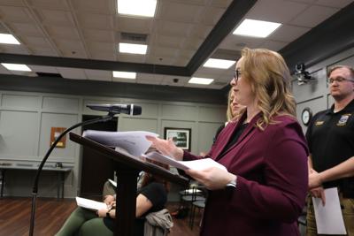Mental Health Court proposed for the 14th judicial circuit | News ...