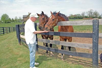 Old Friends Farm quiet due to pandemic | Breaking News | news-graphic.com