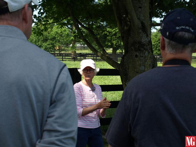 Summertime at Old Friends Farm | Gallery | news-graphic.com