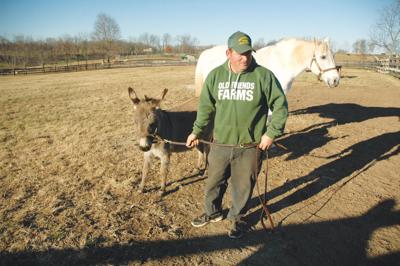 Thoroughbred, donkey become inseparable friends | News | news-graphic.com