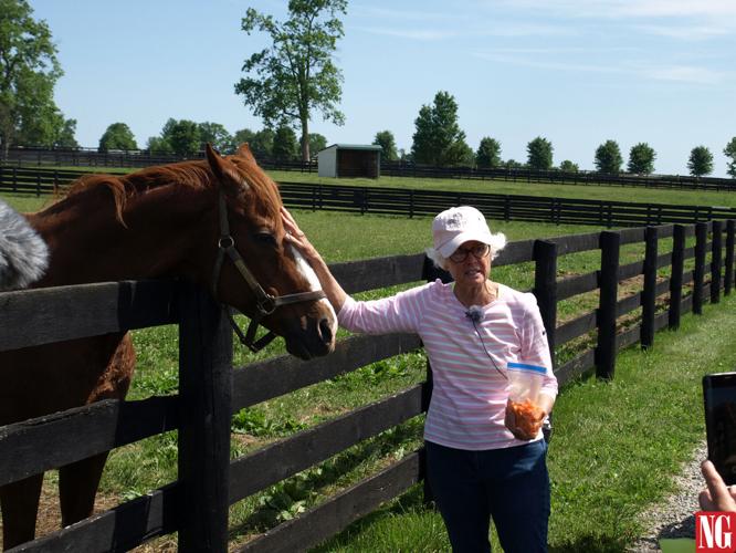 Summertime at Old Friends Farm | Gallery | news-graphic.com