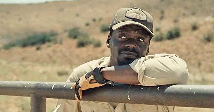 Jordan Peele’s third film ‘Nope’ receives a big yes | News | news ...