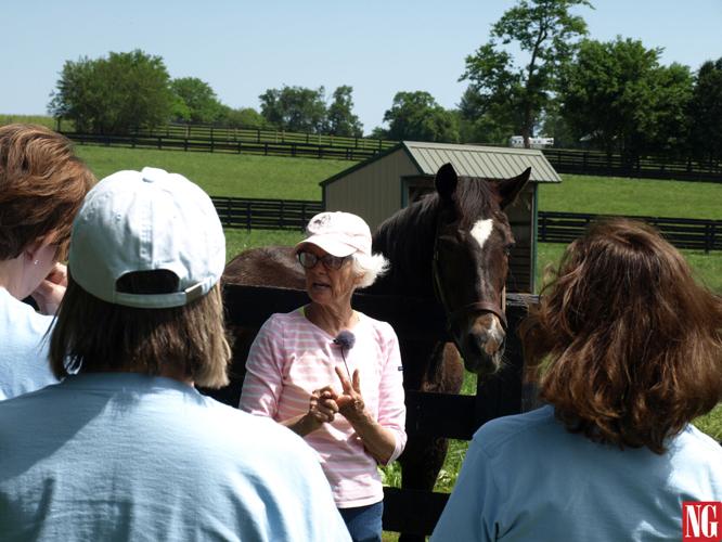 Summertime at Old Friends Farm | Gallery | news-graphic.com