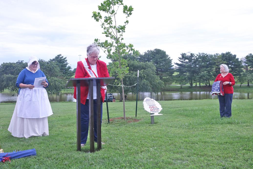 DAR dedicates Liberty Tree at Brooking Park | News | news-graphic.com