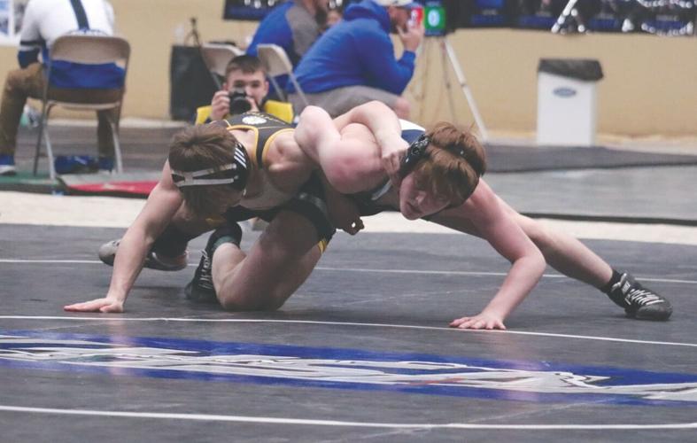 Photos: County wrestlers compete at state | Sports | news-graphic.com