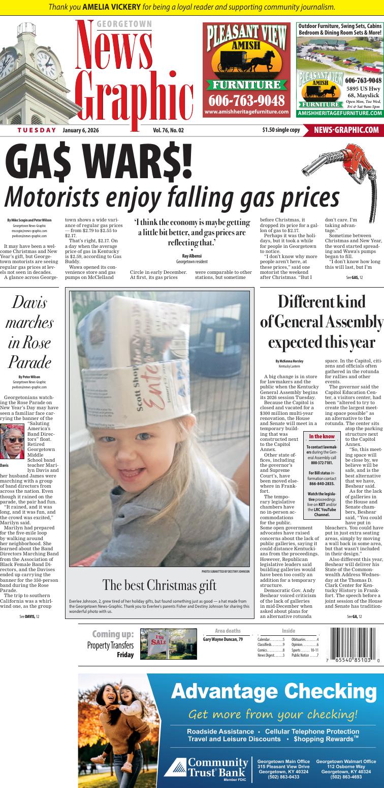 Shih Tsu puppies | Announcements More | news-graphic.com