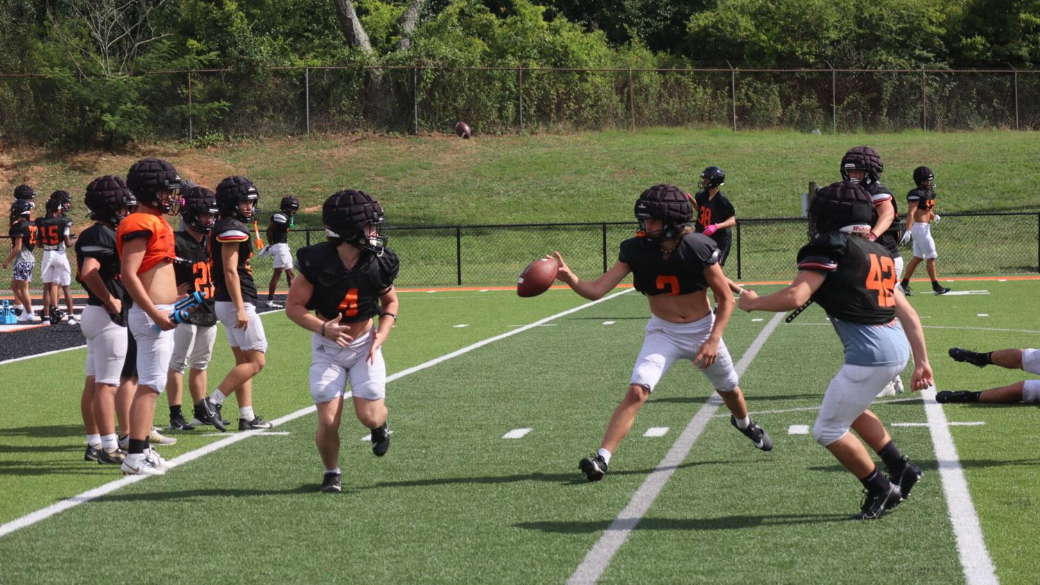 New-look Panthers bring excitement to the city | Sports | news-herald.net