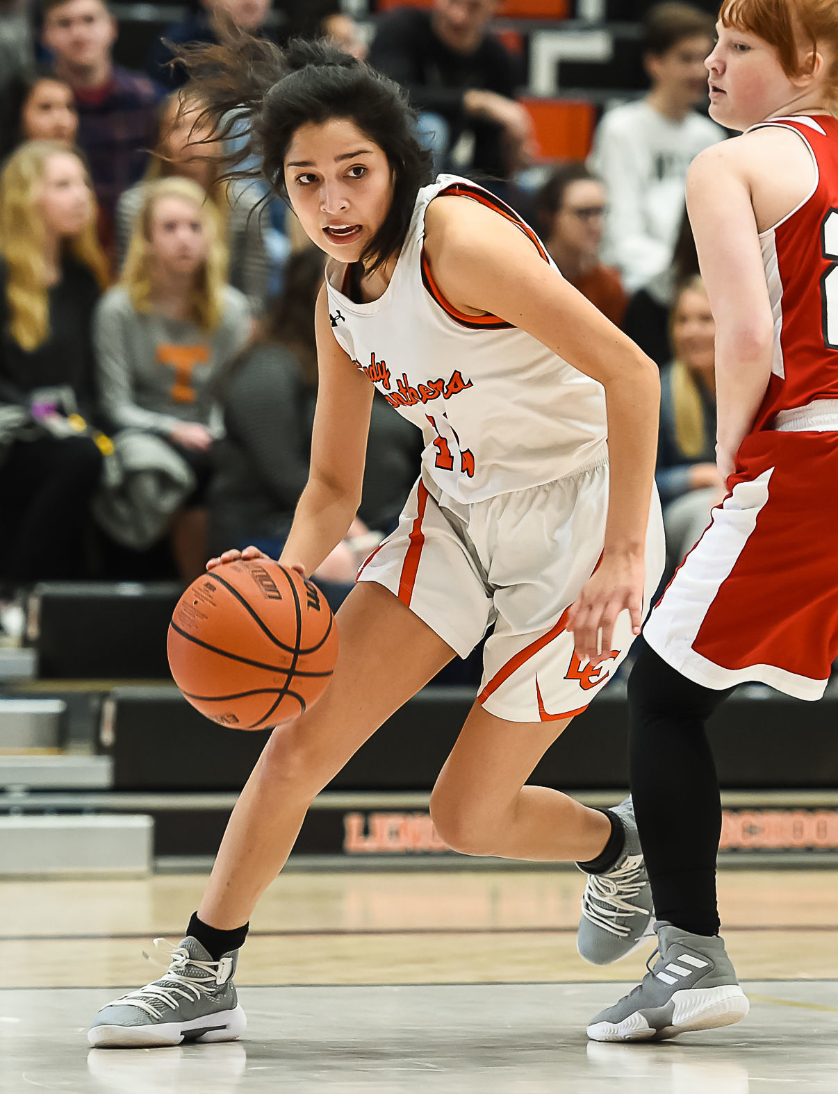 2019 All-County Girls Basketball Team | Sports | news-herald.net