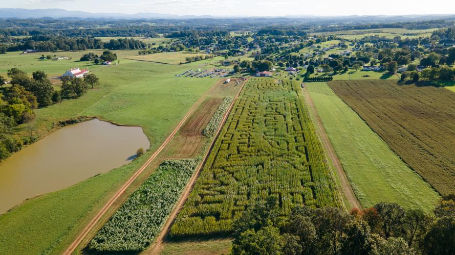 Maple Lane Farms announces this year's corn maze schedule | News | news ...