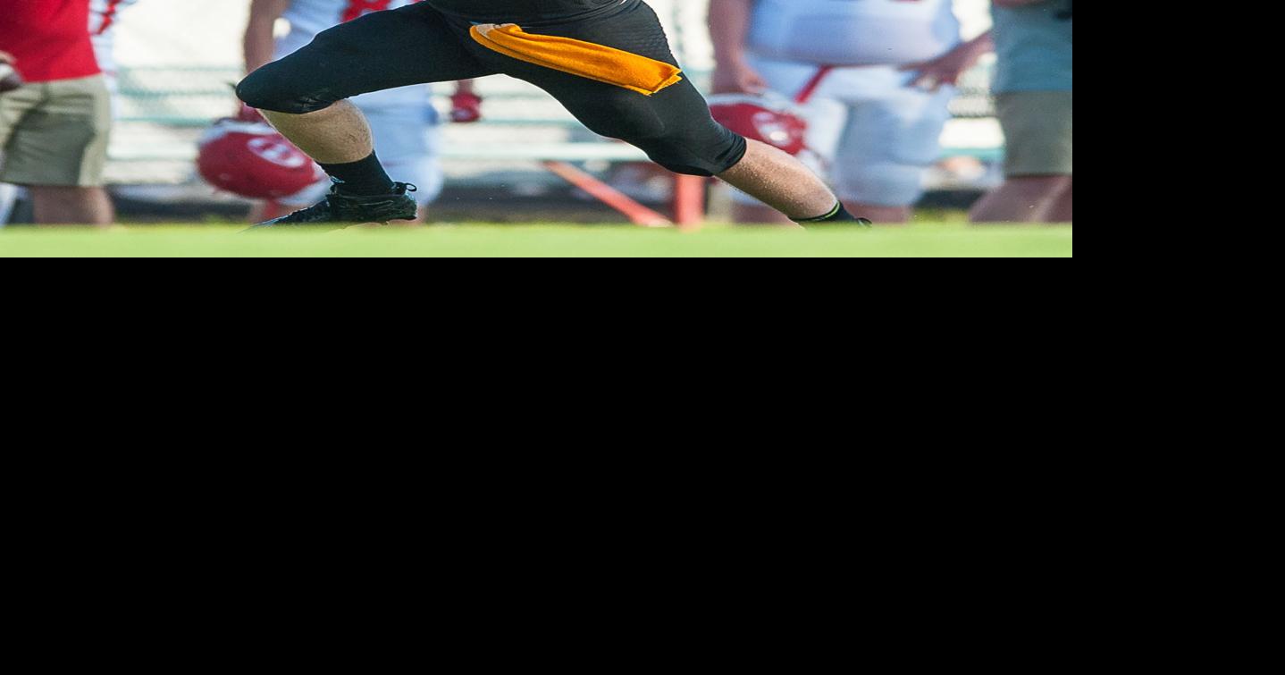 Inexperienced Panthers ready to 'fight' in division | Sports | news ...