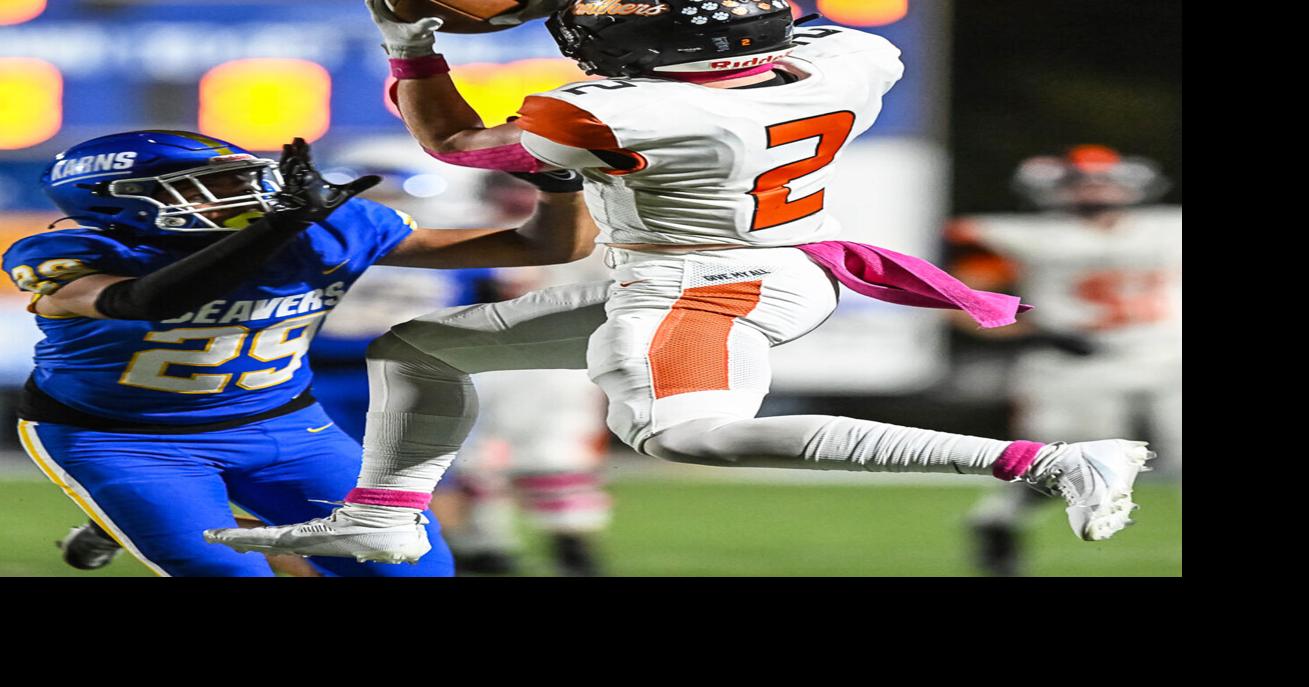 Panthers cap season with big win | Sports | news-herald.net