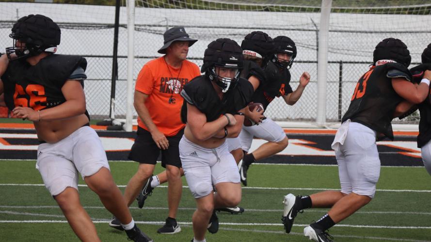 New-look Panthers bring excitement to the city | Sports | news-herald.net