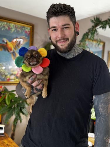 More pet owners relying on online fundraisers to fund vet bills | Pets ...