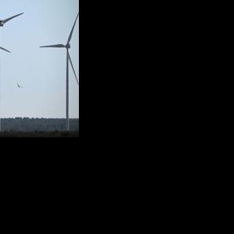 Trump admin halts US offshore wind projects citing 'national security ...