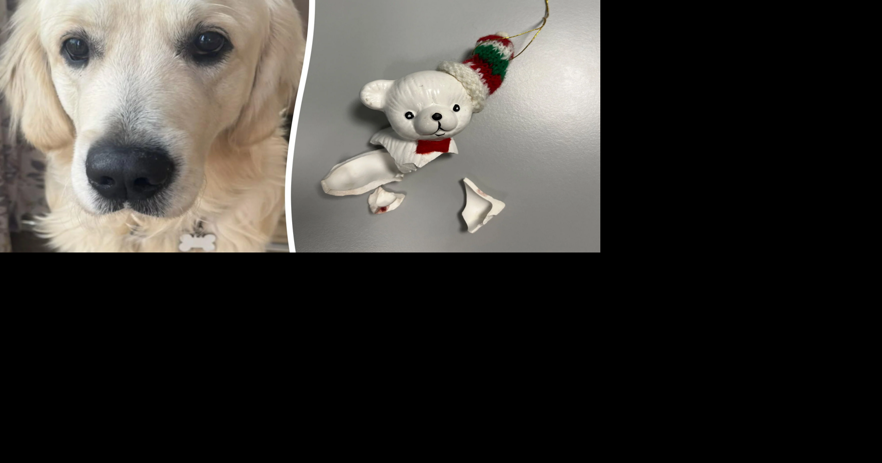 Dog rushed to vet after swallowing ceramic Christmas ornament | Pets ...