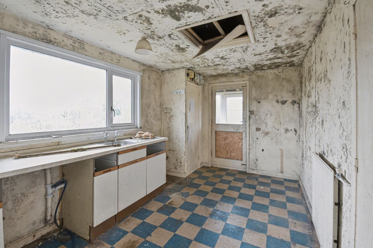 Why this rundown house sold for a quarter of a million dollars | Homes ...