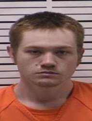 Arrest warrant issue for alleged UTV theft in Ridgeland | Free News ...