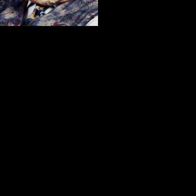 Robert Mayo “Ostie” Ostenson | Obituaries | news-shield.com