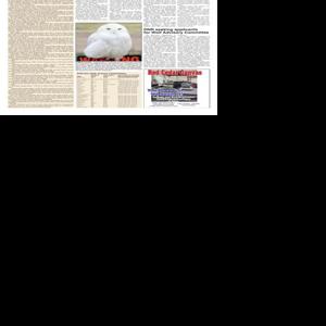 Page B06 | Barron News-Shield | news-shield.com