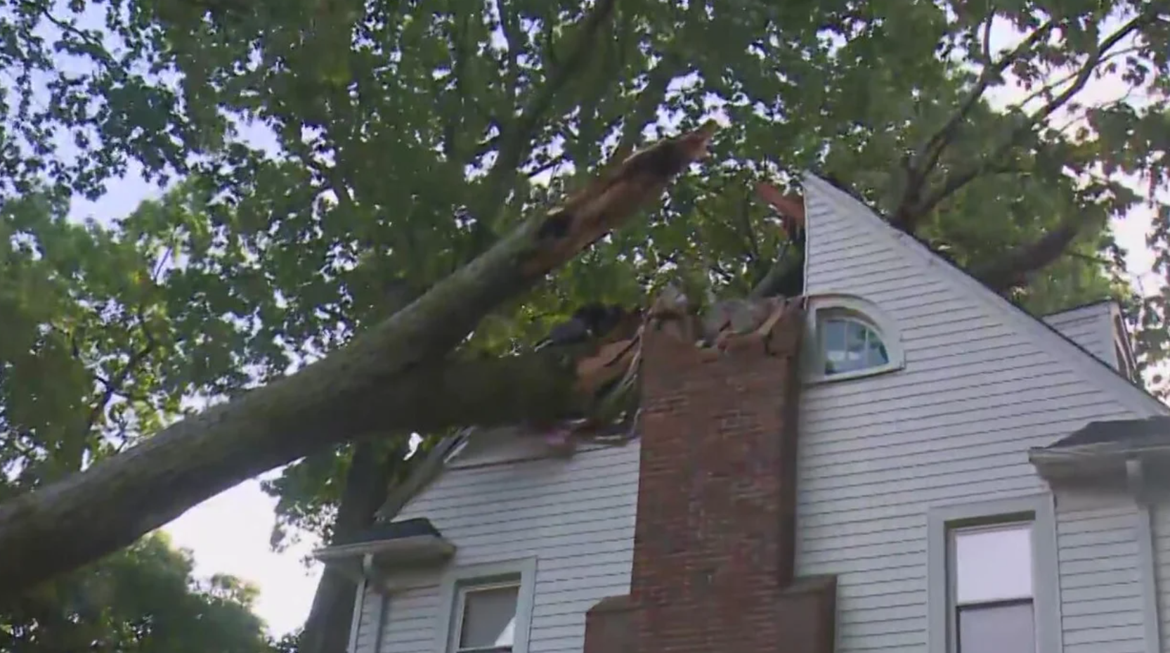 6-year-old girl rescued by father after tree falls on Michigan home