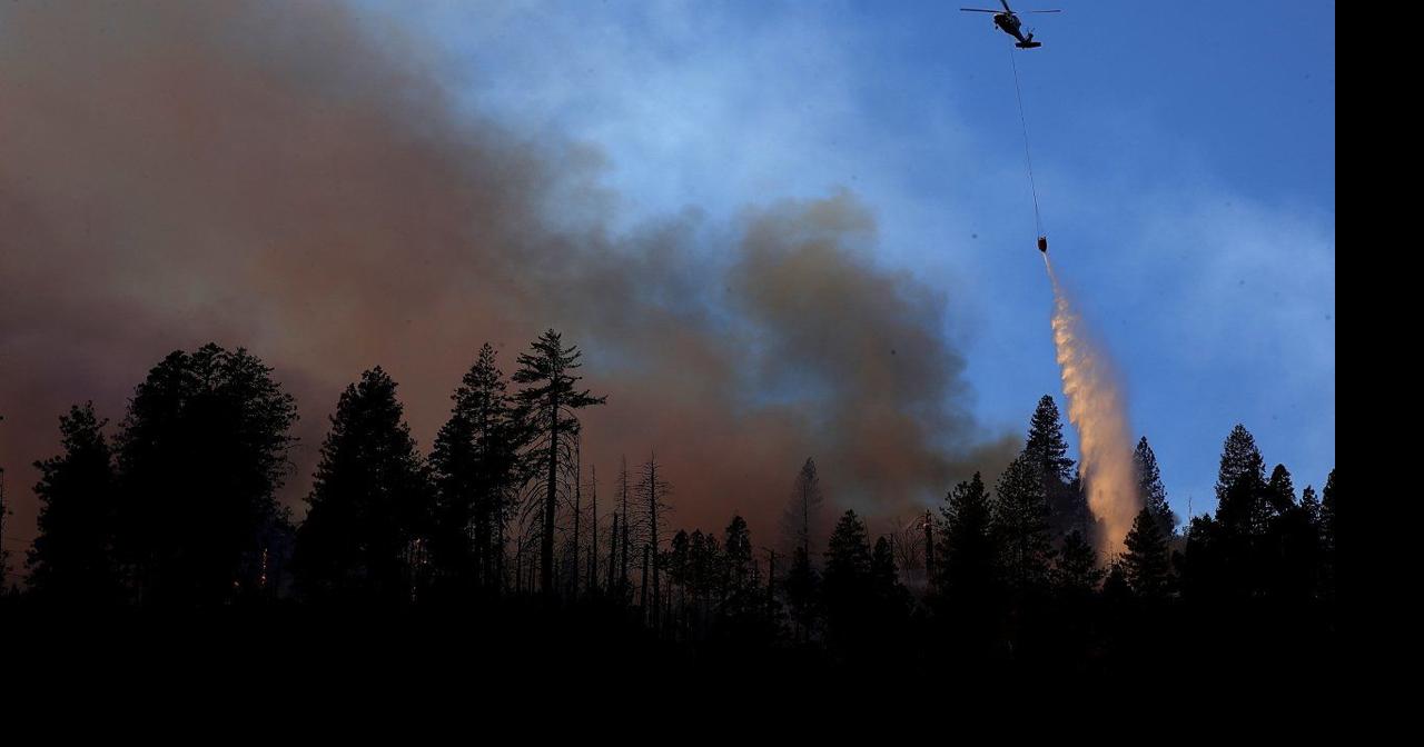 Finland Doesn't Have Many Forest Fires — But That's Due To Its Climate