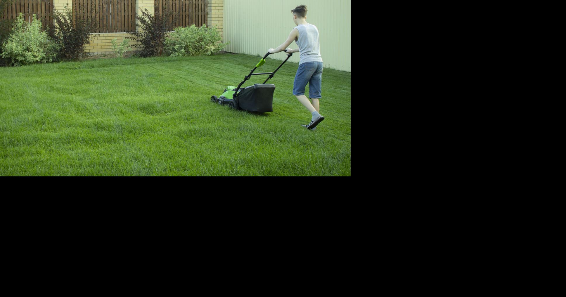 Kids and Money: Summer jobs are plentiful for teens who want to work