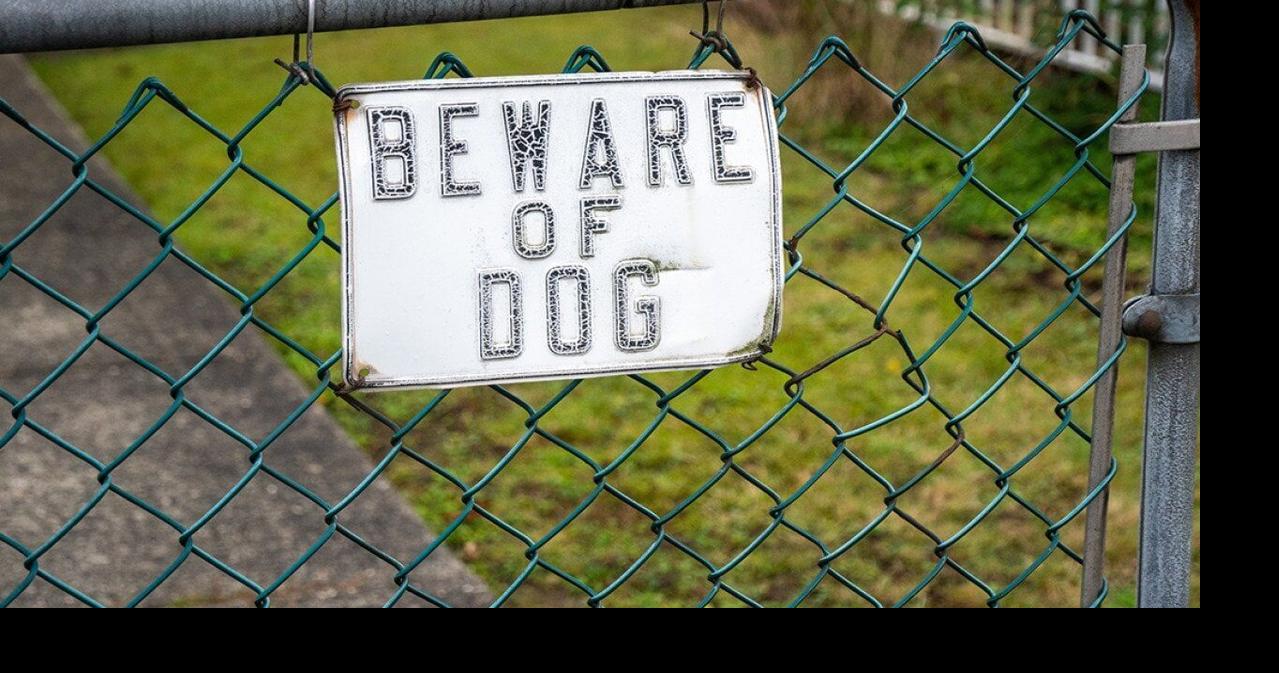 Which states had the most dog attacks on USPS mail carriers? See list