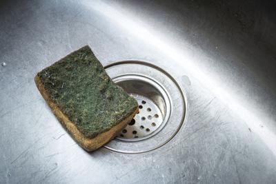 How often should you replace your kitchen sponges?