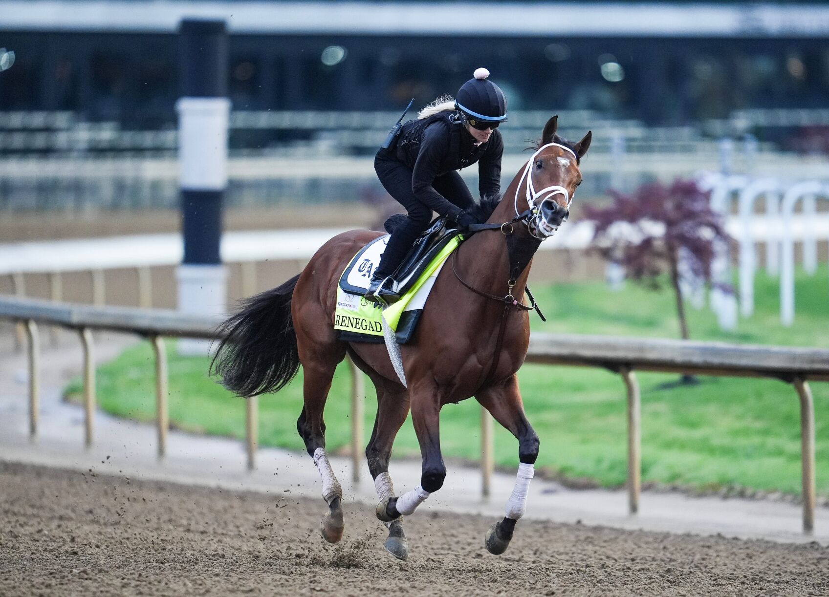 2026 Kentucky Derby contender Renegade during a morning training ...