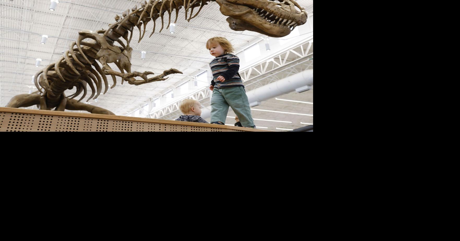 ‘Rawr!’: 20-foot T. rex dinosaur skeleton at Texas library brings the ...