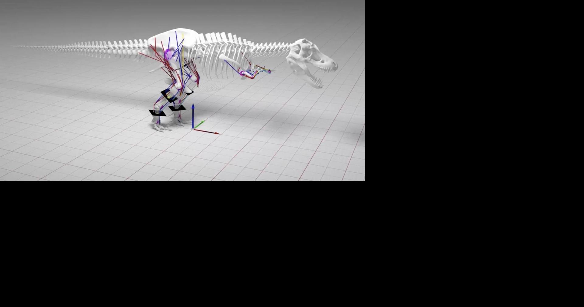 T. Rex Was Probably Much Slower Than You Thought