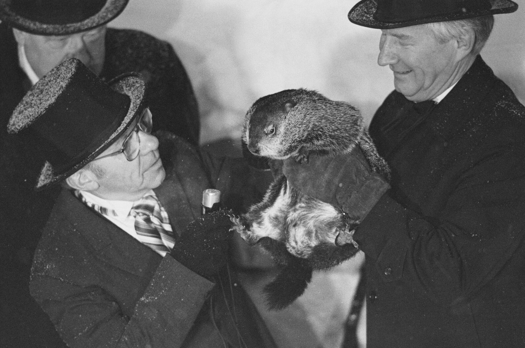 What did the groundhog see? Punxsutawney Phil’s winter prediction is in