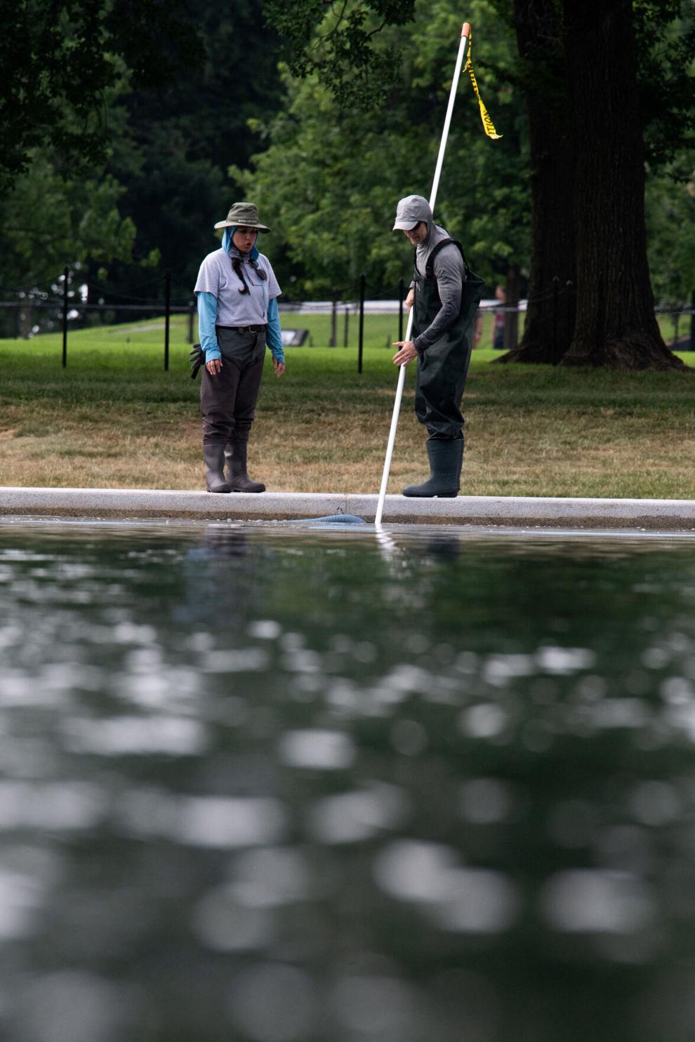 Trump's newly painted Reflecting Pool already peeling