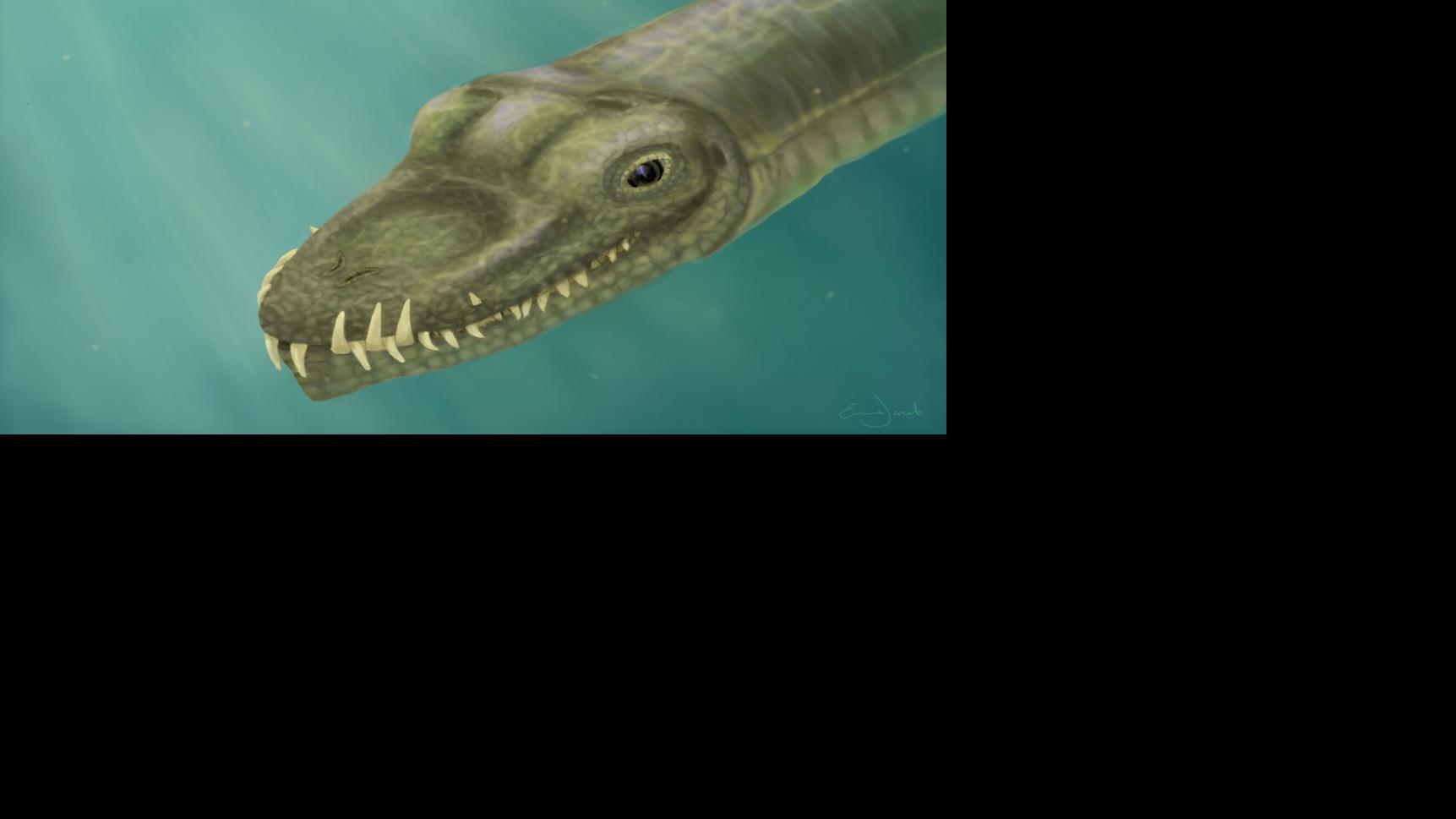 Scientists have unraveled the riddle of a real-life sea monster ...