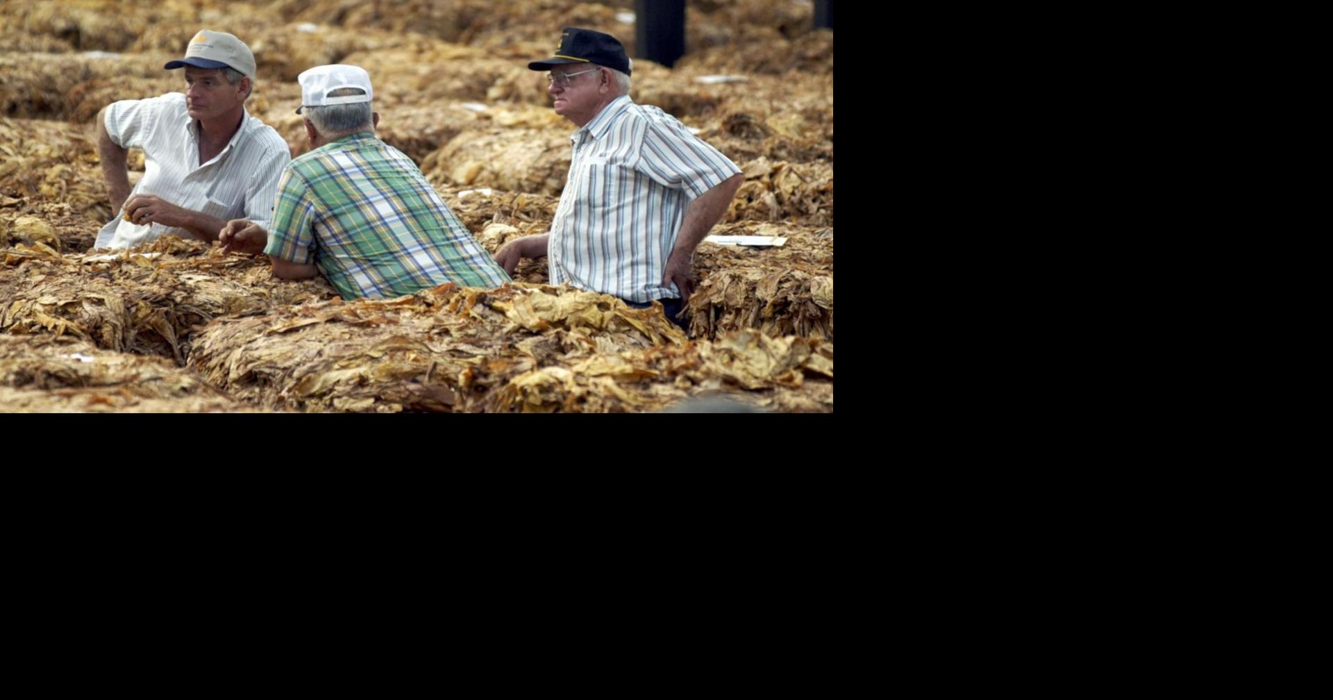 Carolina Farmers Race To Save Crops, Farmland Before Florence Hits