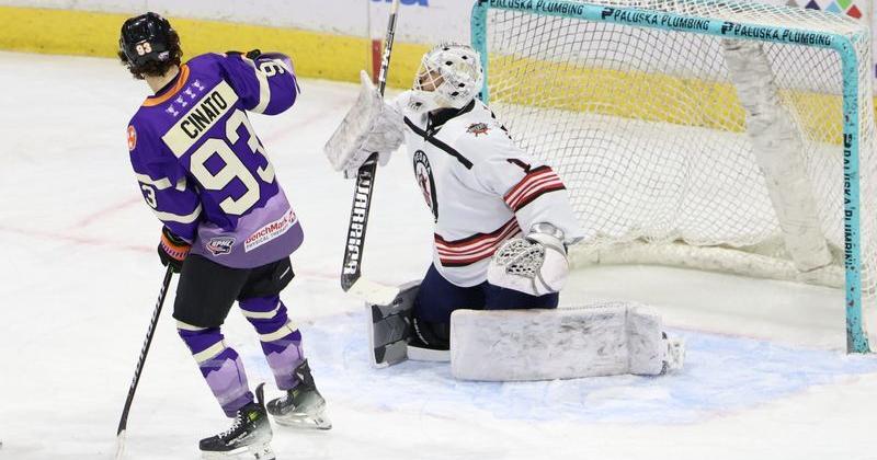 Toni Breidinger switches teams, reveals 2026 slate for NASCAR trucks