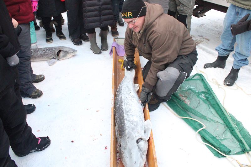 Who is the Super Bowl halftime show performer? What to know about Bad Bunny