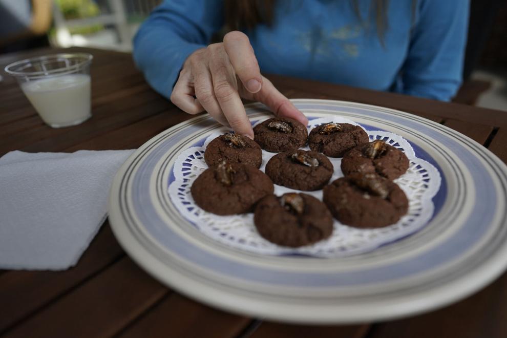 Yes, cicadas are edible. They can adorn cookies, be deep-fried and more