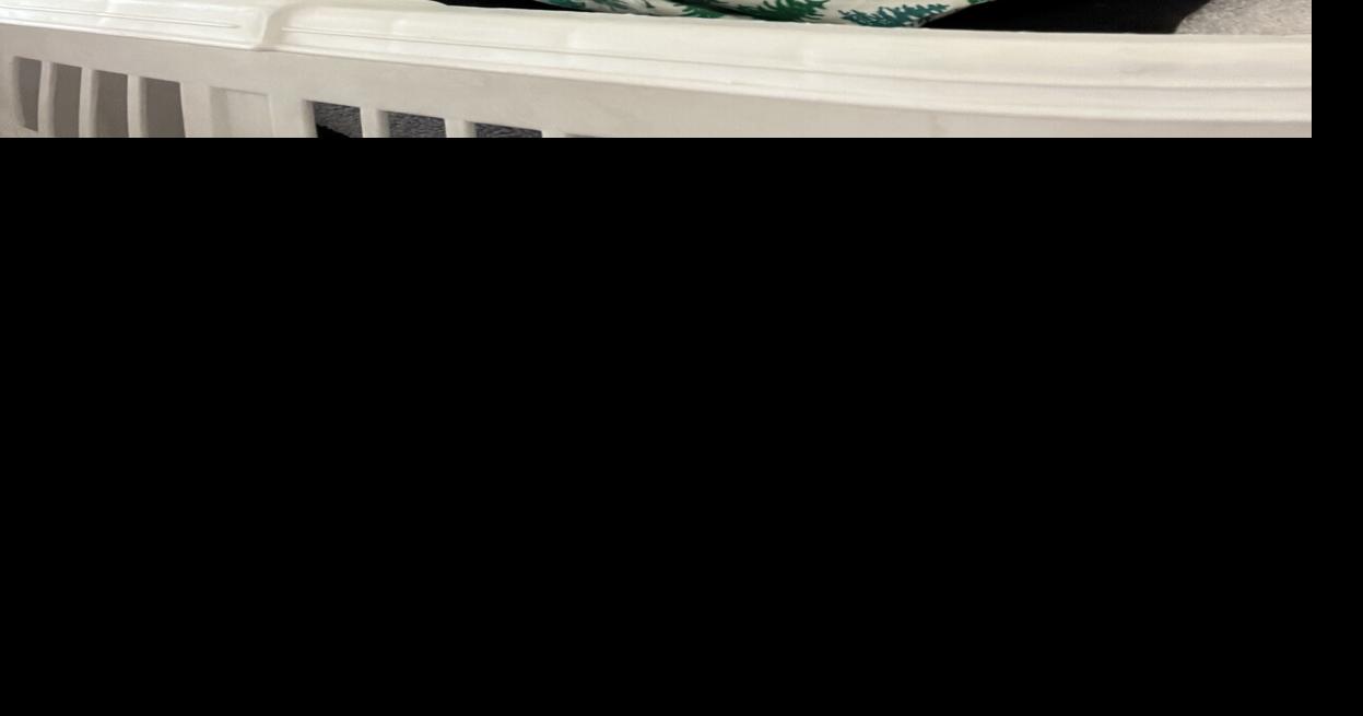 LIFE-ZEZIMA-HUMOR-COLUMN-MCT